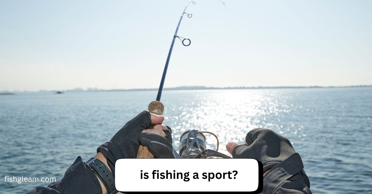 Is Fishing a Sport? Complete Answer with Facts and Real Examples